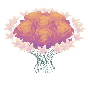 rose bouquet - MATLAB Flipbook Mini Hack